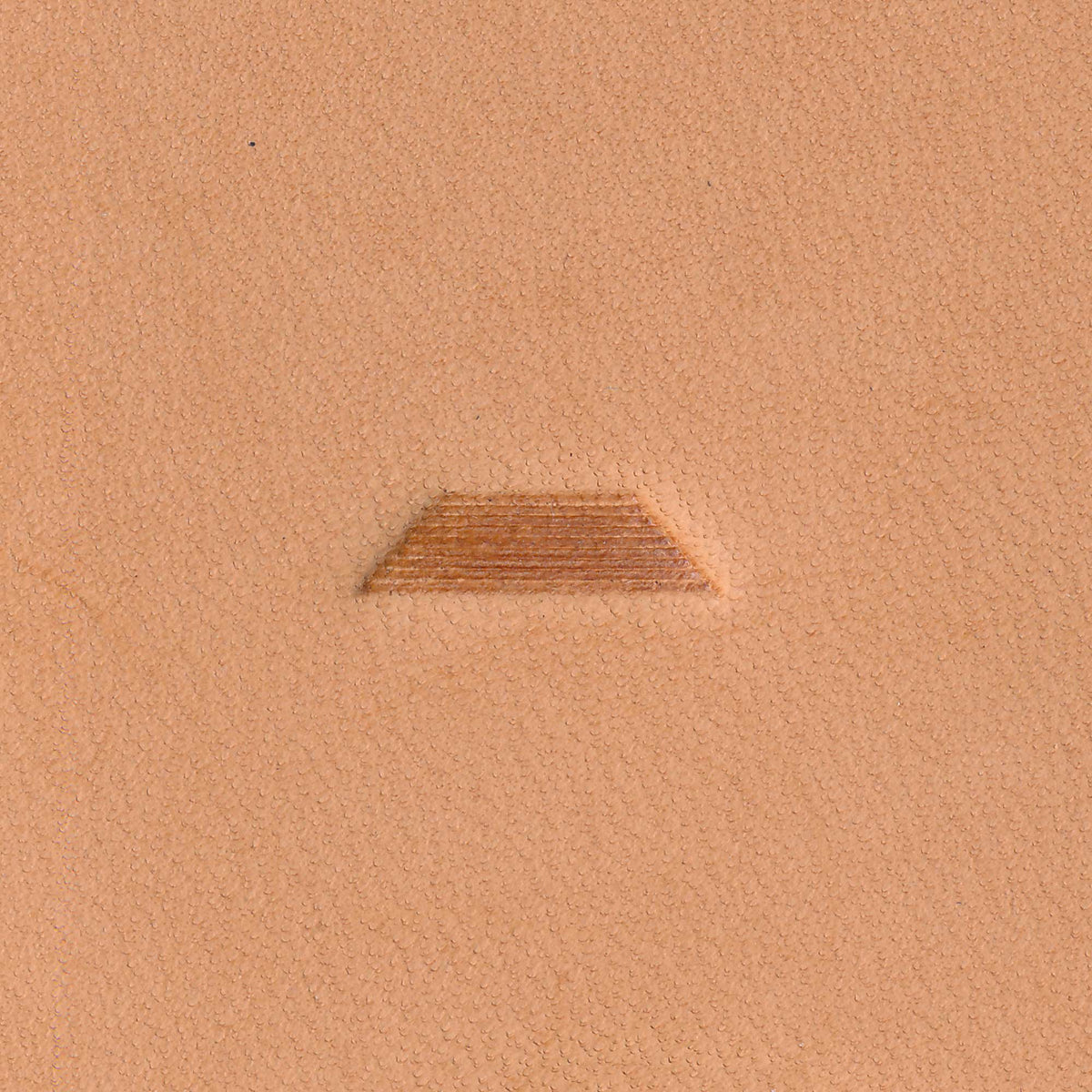 Leaf Liner L007 Leather Stamp –LeatherworkToolSupply.com